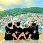 Busan Day Trip from Seoul by KTX - Private Tour with Local Guide - Practical Details and What They Mean for Travelers