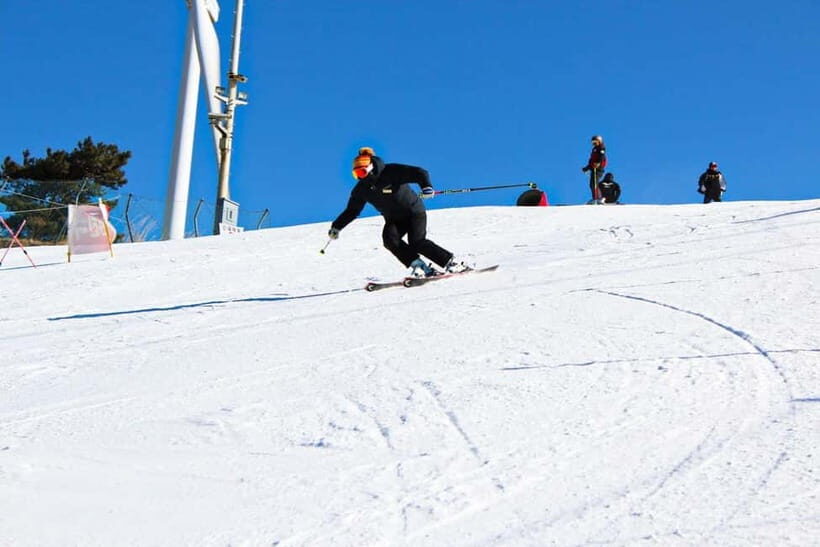 Busan: Eden Valley Resort Winter Ski Snowboard Sled Day Tour - A Closer Look at the Eden Valley Experience