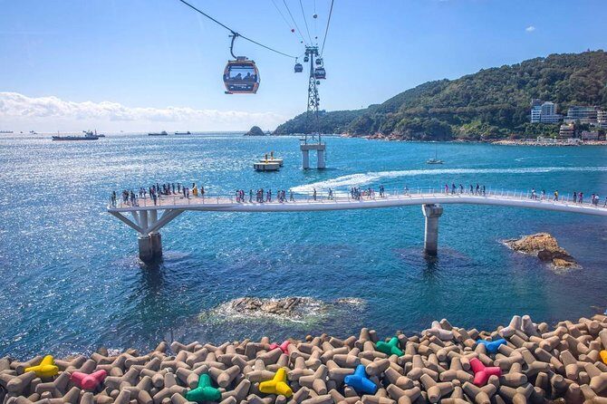 Busan: Fully Customizable Private Tour - The Quality of Guides and Customer Satisfaction