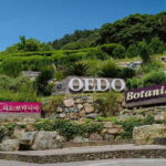 Busan: Geoje Coastal Escape, Sea Breeze& Oedo Botania Island - Evaluating the Cost and Value