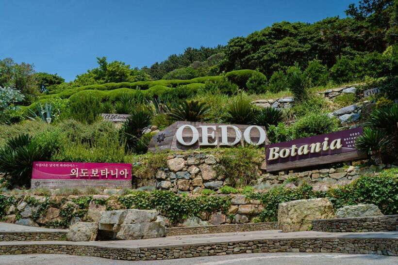 Busan: Geoje Coastal Escape, Sea Breeze& Oedo Botania Island - Evaluating the Cost and Value