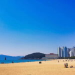 Busan: Haeundae 100-Minute Walking Tour - Who Should Consider This Tour?
