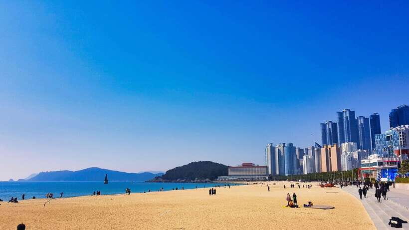 Busan: Haeundae 100-Minute Walking Tour - Who Should Consider This Tour?