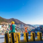 Busan Hidden Gems Private Tour and Car Service - Who Is This Tour Best For?