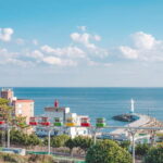 Busan: Max Out City Highlights Photo Spots Full Day Tour - What Travelers Say
