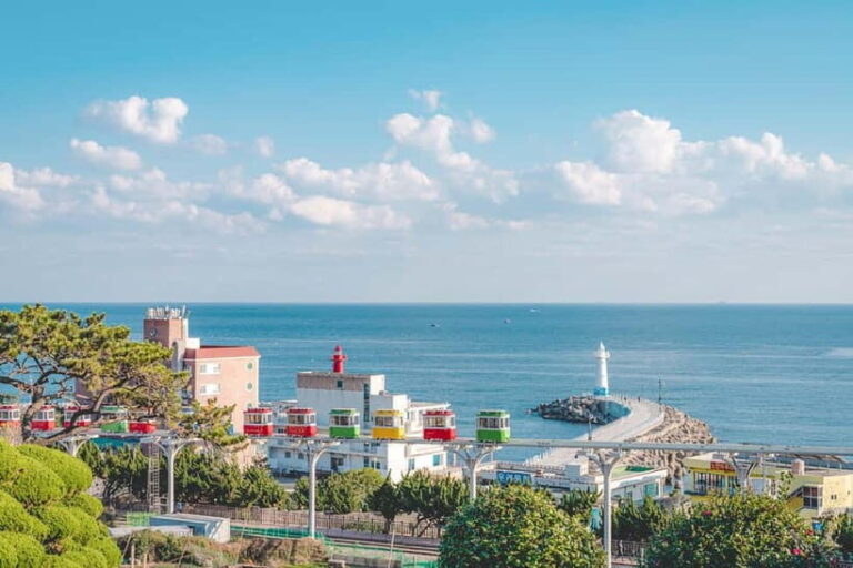Busan: Max Out City Highlights Photo Spots Full Day Tour - What Travelers Say