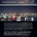 Busan Night Tour & Optional Snapshots - The Experience: What Really Sets It Apart