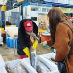 Busan seafood tour : Cod Auction and Clam Auction in Winter - What’s Included and What’s Not