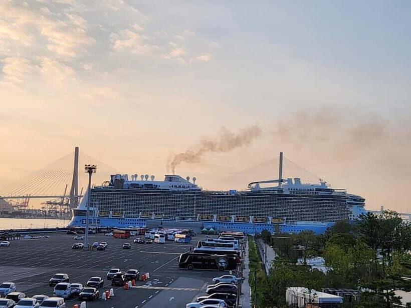 Busan shared Tour for Cruise Ship Passengers Max 15 guests - Practical Details and What This Means for You