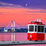 Busan: Sunset Haeundae Sky Capsule & Busan Night Views Tour - Exploring Busan’s Night Highlights