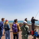Busan Walking with me for Local Culture & Hidden Gems - Practical Tips for Travelers