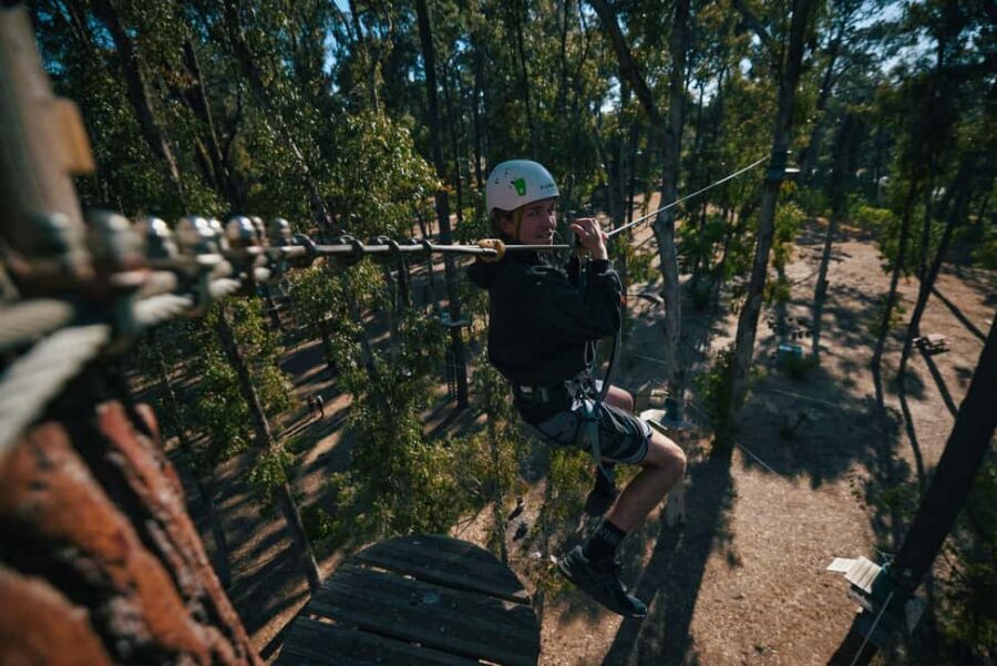 Busselton: Forest Adventure with Zip Lining and Rope Course - The Practicalities: What to Know Before You Go