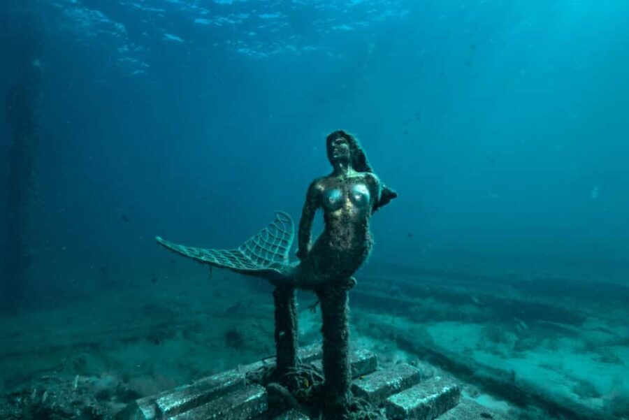 Busselton: Jetty Discover Scuba Diving Experience - Why This Tour Stands Out