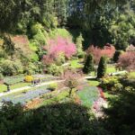 Butchart & Beyond: The Grand Victoria Tour - The Itinerary: Gardens, Sights, and Hidden Gems