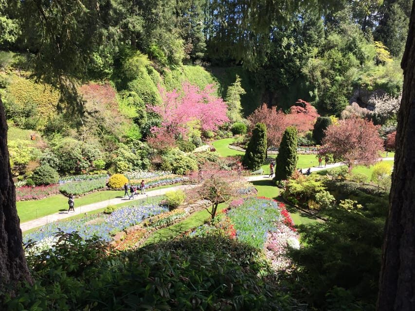 Butchart & Beyond: The Grand Victoria Tour - The Itinerary: Gardens, Sights, and Hidden Gems