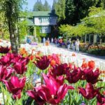 Butchart Gardens and City Highlights Private tour - The Itinerary: A Close Look at Each Stop