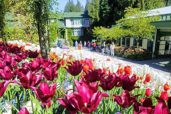 Butchart Gardens and City Highlights Private tour - The Itinerary: A Close Look at Each Stop