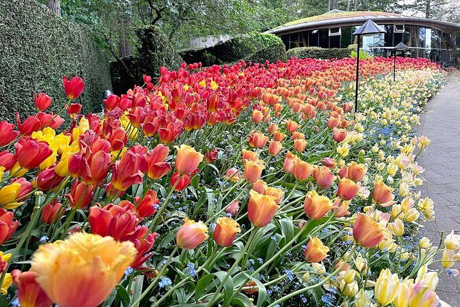 Butchart Gardens and Victoria City Private Tour 1-6 pax - The Itinerary: A Step-by-Step Breakdown