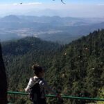 Butterfly Monarch Tour from Mexico City - Who Should Consider This Tour?