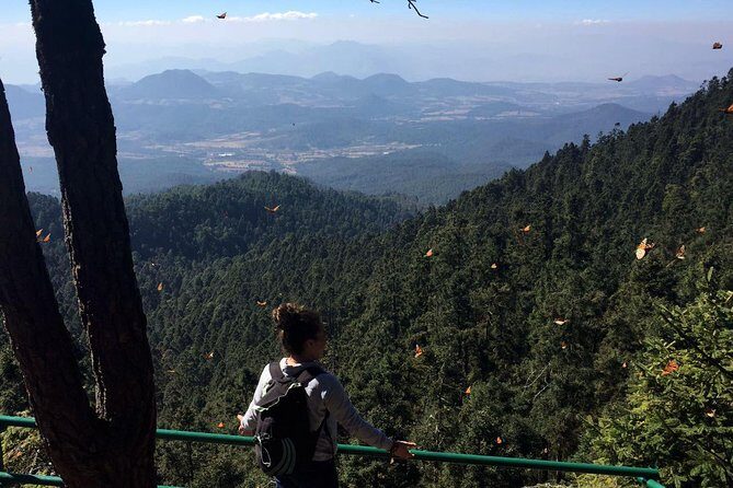 Butterfly Monarch Tour from Mexico City - Who Should Consider This Tour?