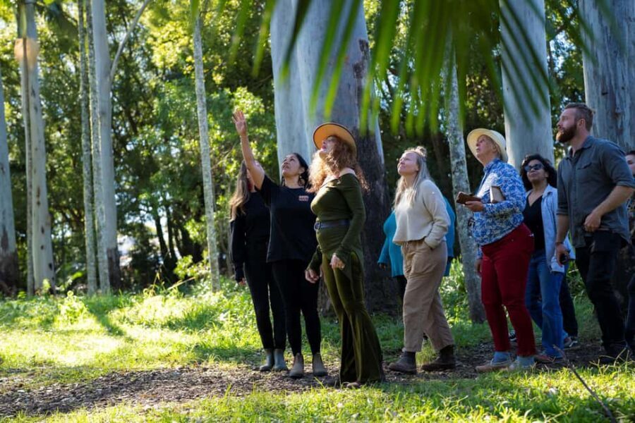 Byron Bay: Bangalow Bush Tucker Tour - Practical Details