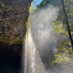 Byron Bay: Behind The Bay Waterfalls & Hidden Gems Day Tour - Itinerary Breakdown