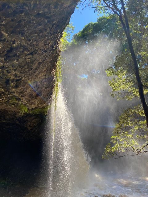 Byron Bay: Behind The Bay Waterfalls & Hidden Gems Day Tour - Itinerary Breakdown