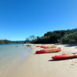 Byron Bay: Brunswick River Scenic Kayak Tour - What to Expect on the Tour