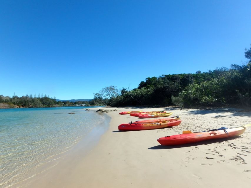 Byron Bay: Brunswick River Scenic Kayak Tour - What to Expect on the Tour