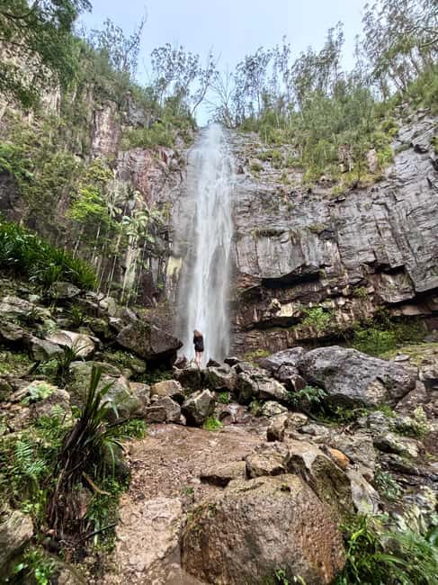 Byron Bay: Glowworms, Waterfalls & Rainforest Experience - Practical Details & What to Expect