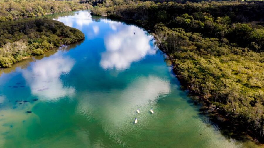 Byron Bay: Group 2.5 Hour Stand-Up Paddle Board Tour - What to Expect: A Step-by-Step Overview