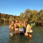Byron Bay: Kayak and Hike Eco-Tour with Waterfall Swim - What to Expect: A Step-by-Step Overview