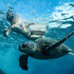 Byron Bay: Snorkeling Tour at Julian Rocks, Nguthungulli - The Sum Up: Is This Tour for You?