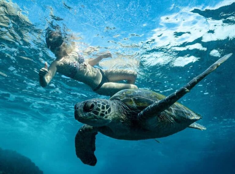 Byron Bay: Snorkeling Tour at Julian Rocks, Nguthungulli - The Sum Up: Is This Tour for You?