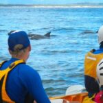 Byron Bay: The Byron Bay Sea Kayak Tour - Practical Details and Value