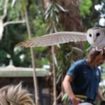 Byron Bay Wildlife Sanctuary Entry Ticket - The Sum Up: Who Should Consider Visiting?