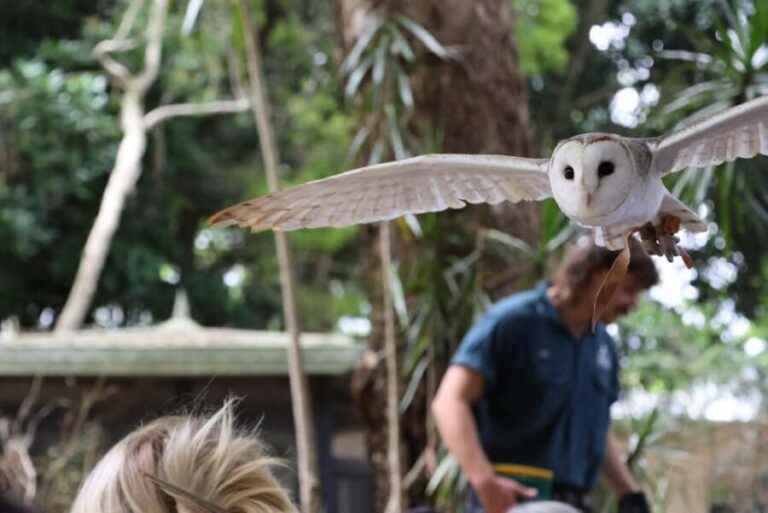 Byron Bay Wildlife Sanctuary Entry Ticket - The Sum Up: Who Should Consider Visiting?
