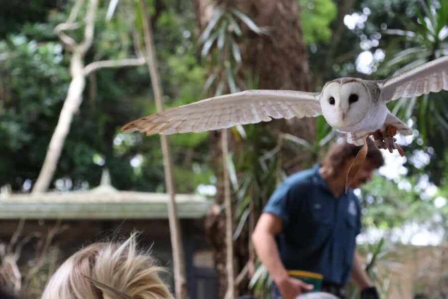 Byron Bay Wildlife Sanctuary Entry Ticket - The Sum Up: Who Should Consider Visiting?