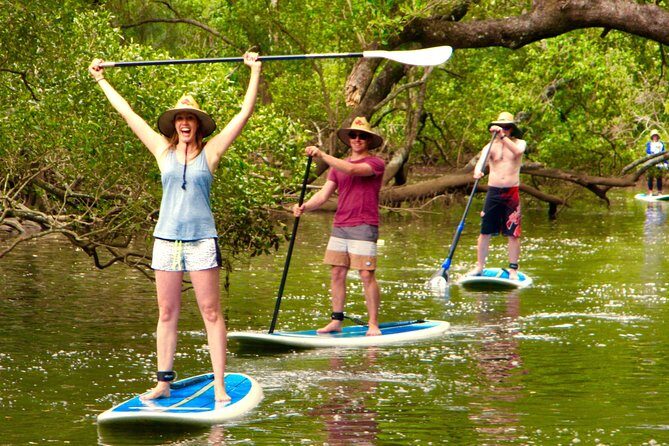 Byron Stand Up Paddle Nature Tour - Authentic Experiences and Review Highlights