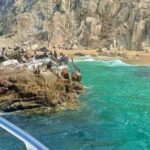Cabo Arch Glass Bottom Boat: Hotel PICKUP, Arch & Lovers Beach - The Value Proposition
