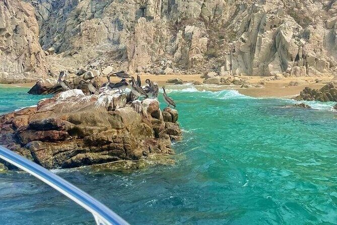 Cabo Arch Glass Bottom Boat: Hotel PICKUP, Arch & Lovers Beach - The Value Proposition