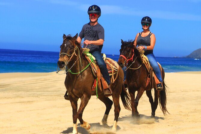 Cabo ATV and Horseback Riding Combo Experience in Migriño - What Makes This Tour Stand Out (or Not)