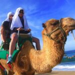 Cabo Camel and Safari Ride - Food, Drink, and Culture