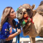 Cabo Camel Ride Experience - Overview of the Experience