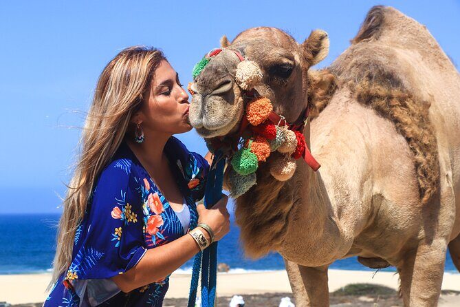 Cabo Camel Ride Experience - Overview of the Experience