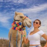 Cabo Camel Ride, Mexican Buffet and Tequila Tasting - Authentic Experiences Throughout