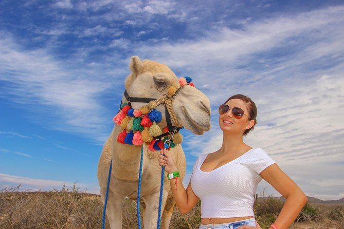 Cabo Camel Ride, Mexican Buffet and Tequila Tasting - Authentic Experiences Throughout