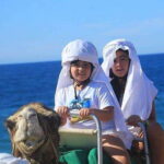 Cabo: Camel Ride On The Beach - The Camel Encounter