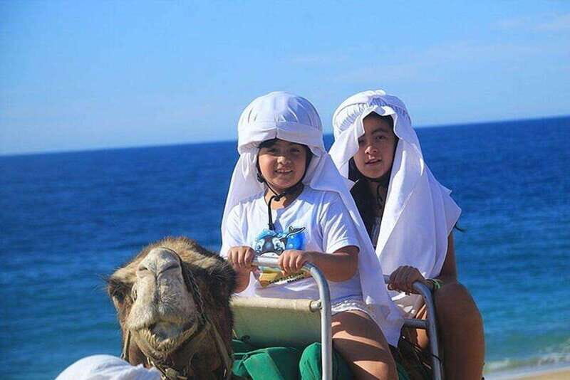 Cabo: Camel Ride On The Beach - The Camel Encounter