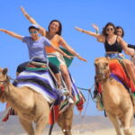 Cabo: Camel Safari Adventure with Tacos - Final thoughts: Is it worth it?